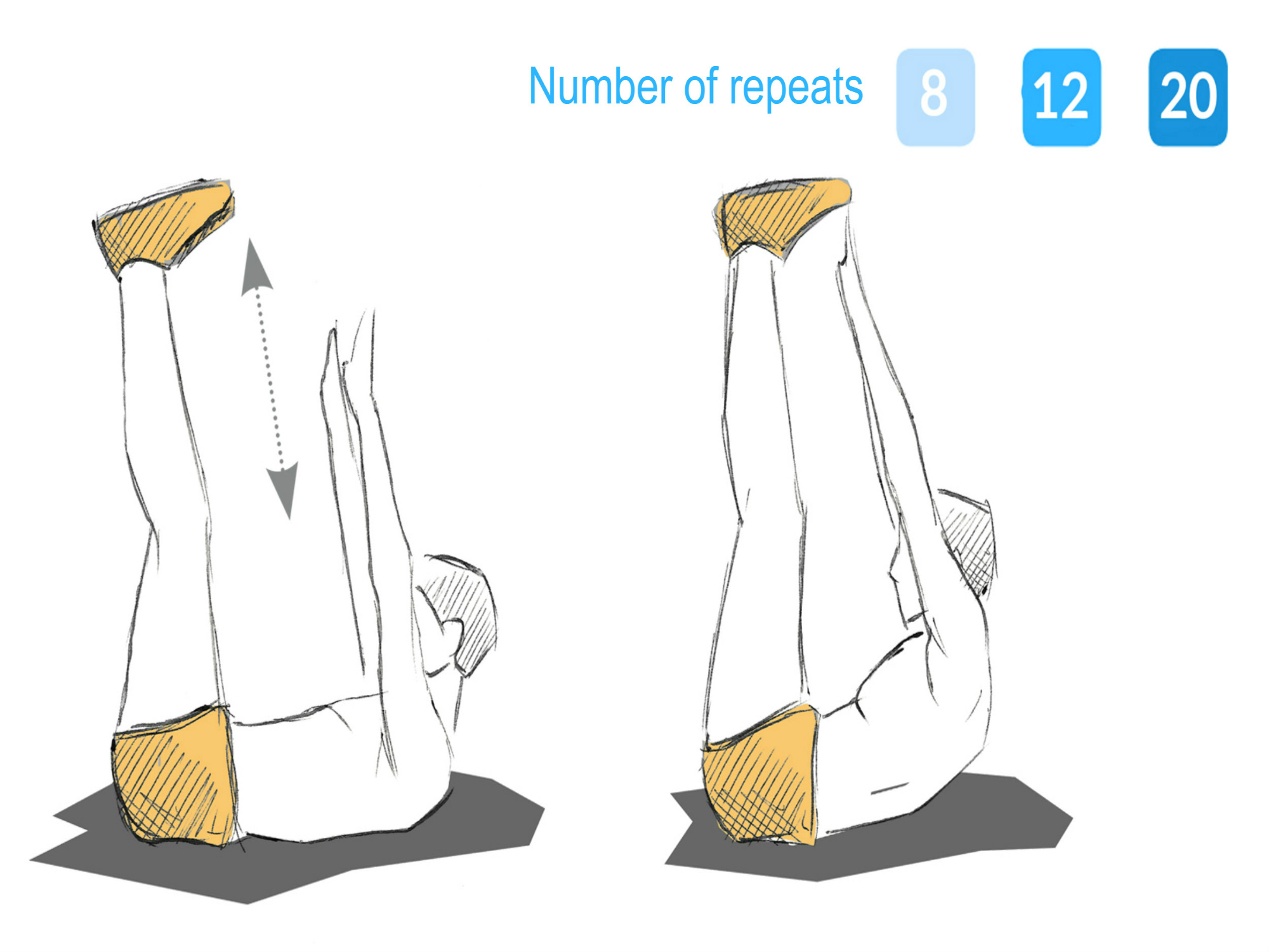 Fit for winter #3: Core muscles