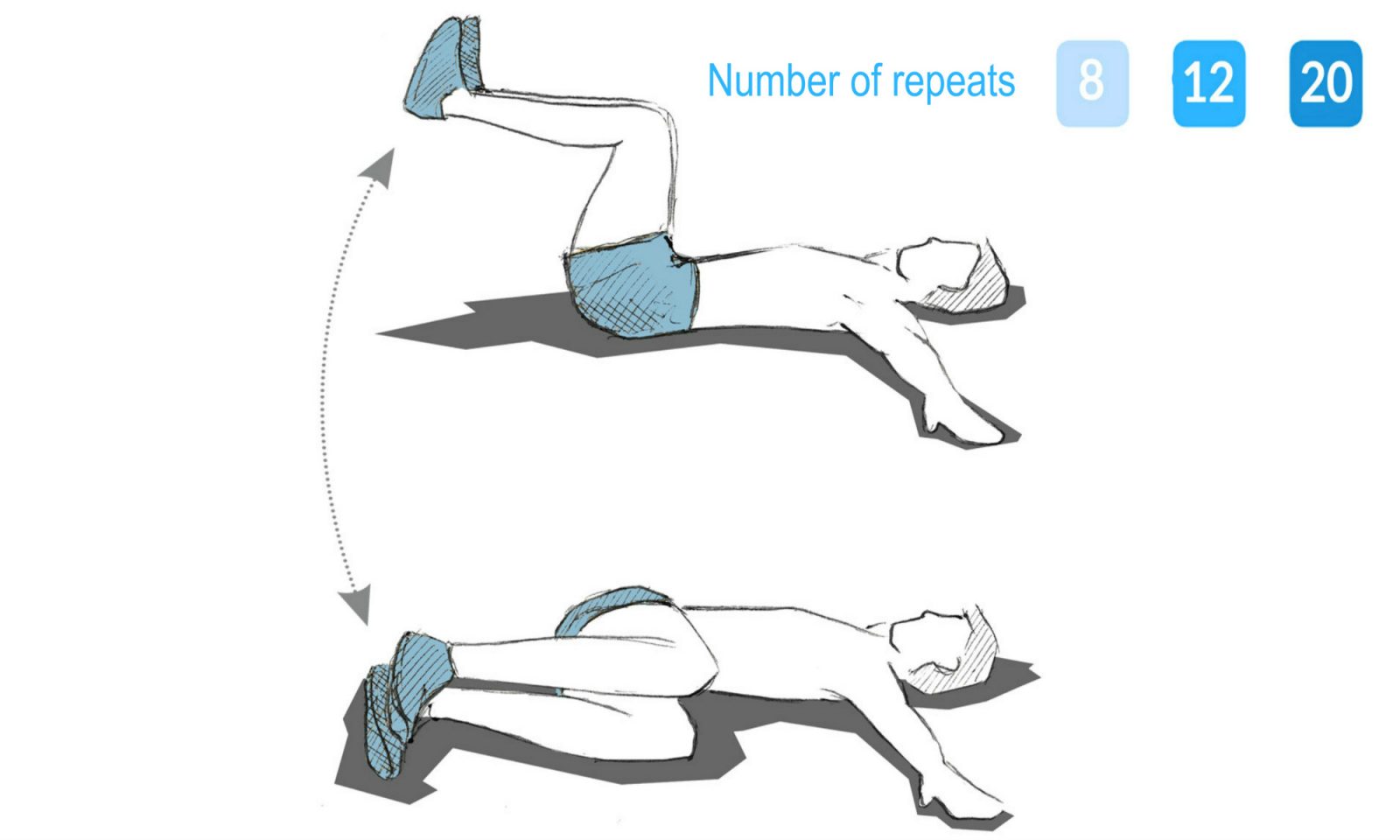 Fit for winter #6: Back muscles