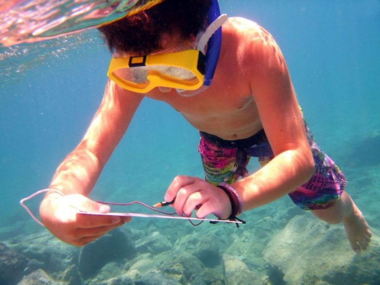 The 5 best snorkeling boat trips in the North of Crete - CheckYeti Blog