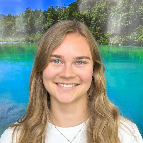 PADI & SSI: Scuba Diving Certifications explained - checkyeti Blog