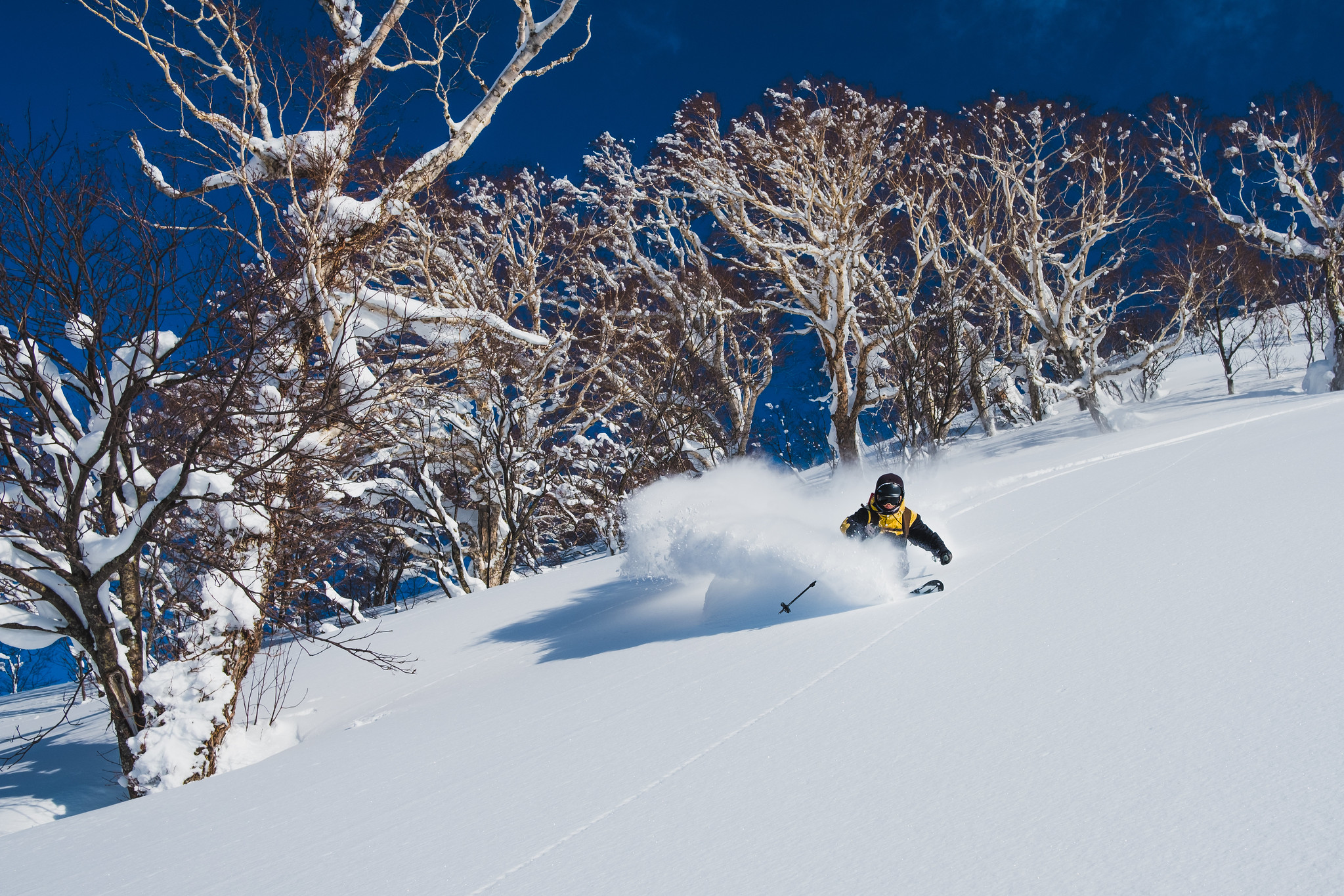 Off-Piste Skiing: Everything you need to know - checkyeti Blog