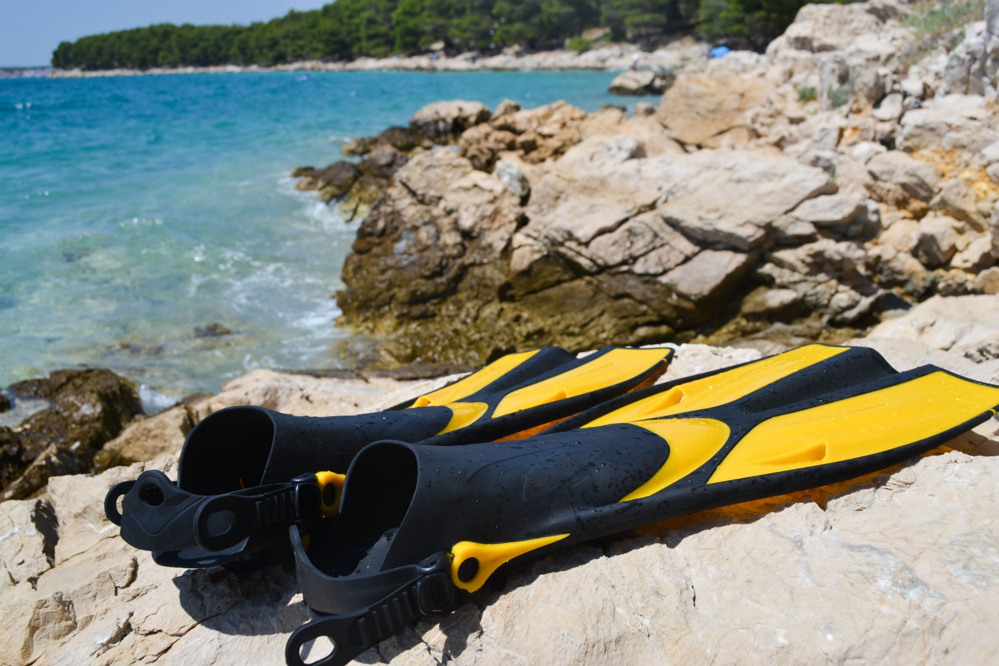 PADI & SSI: Scuba Diving Certifications explained - checkyeti Blog