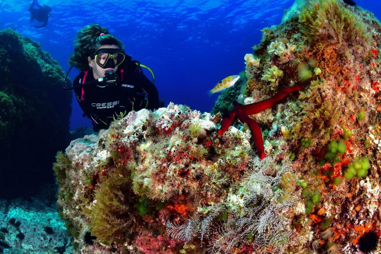 The 7 best Scuba Diving Spots in Europe - checkyeti Blog